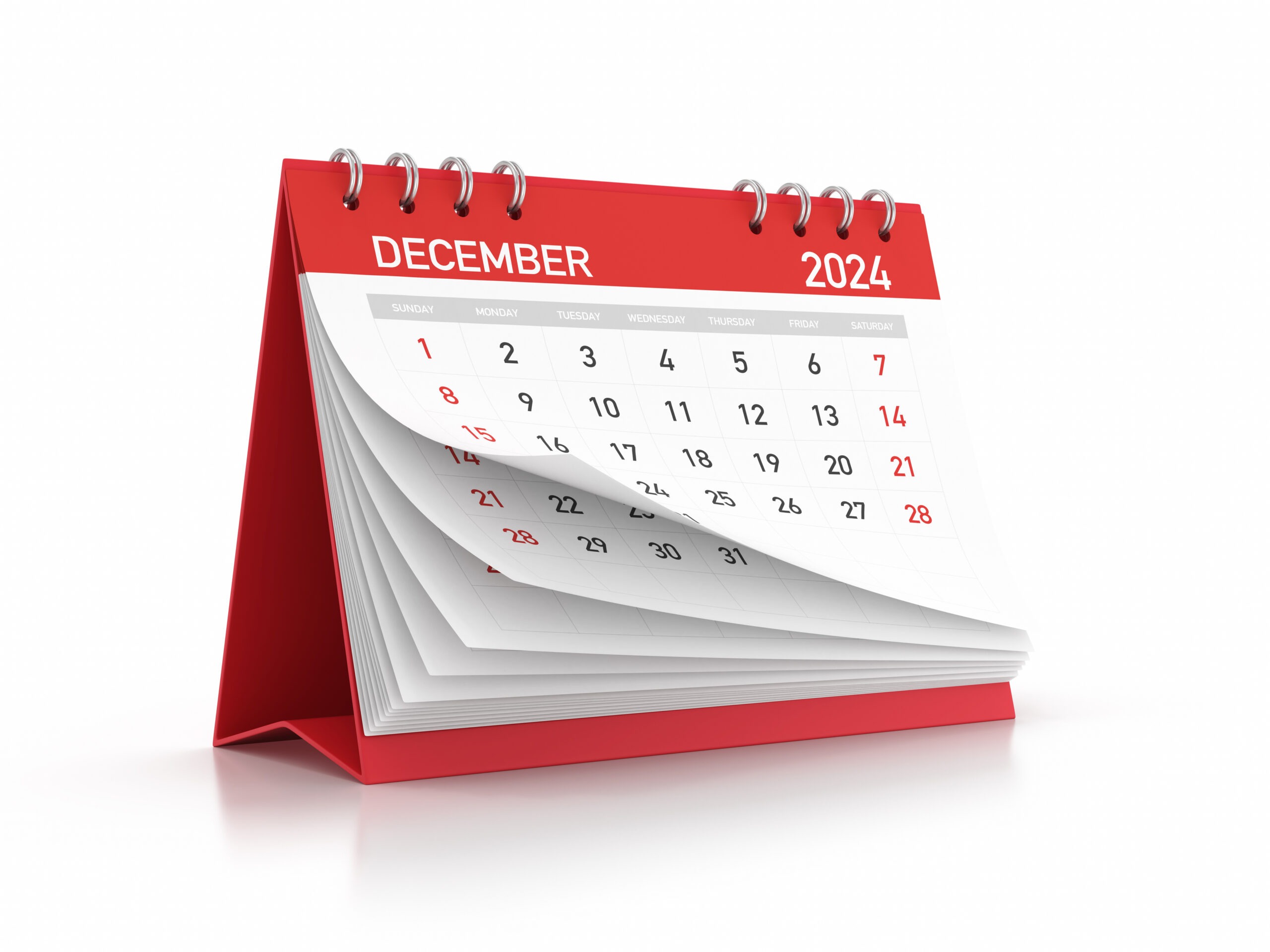 December 2024 Newsletter - Wolf Commercial Real Estate | South Jersey ...